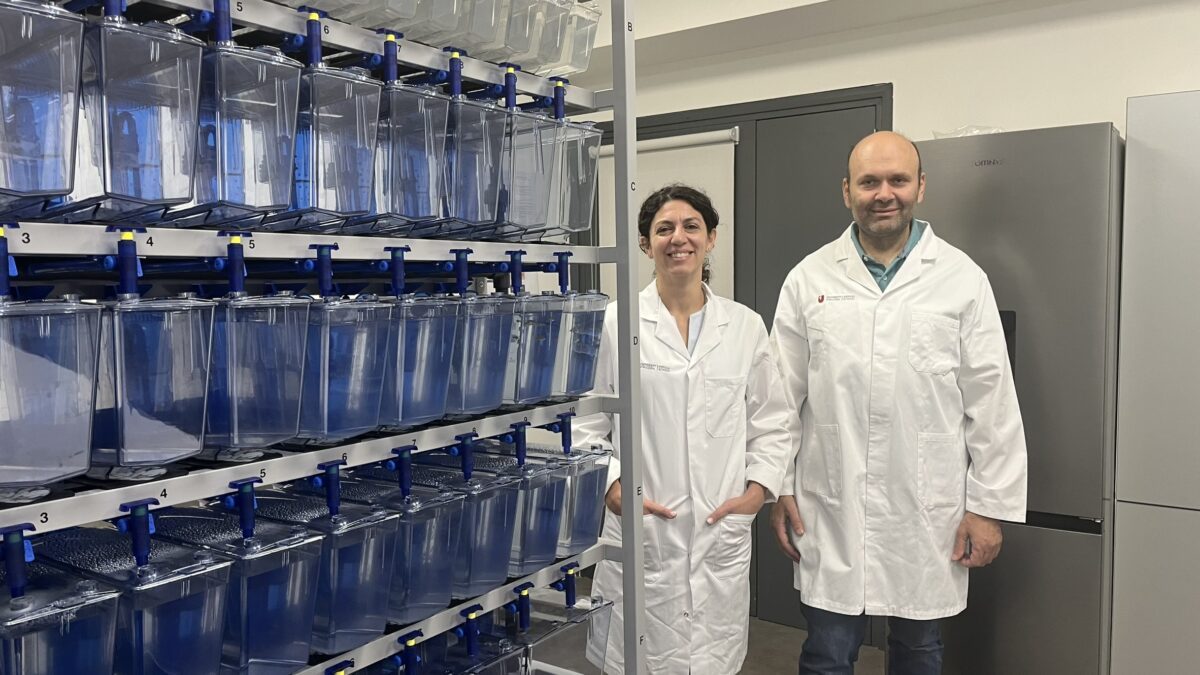 Zebrafish research facility launched - Medical School - University of ...