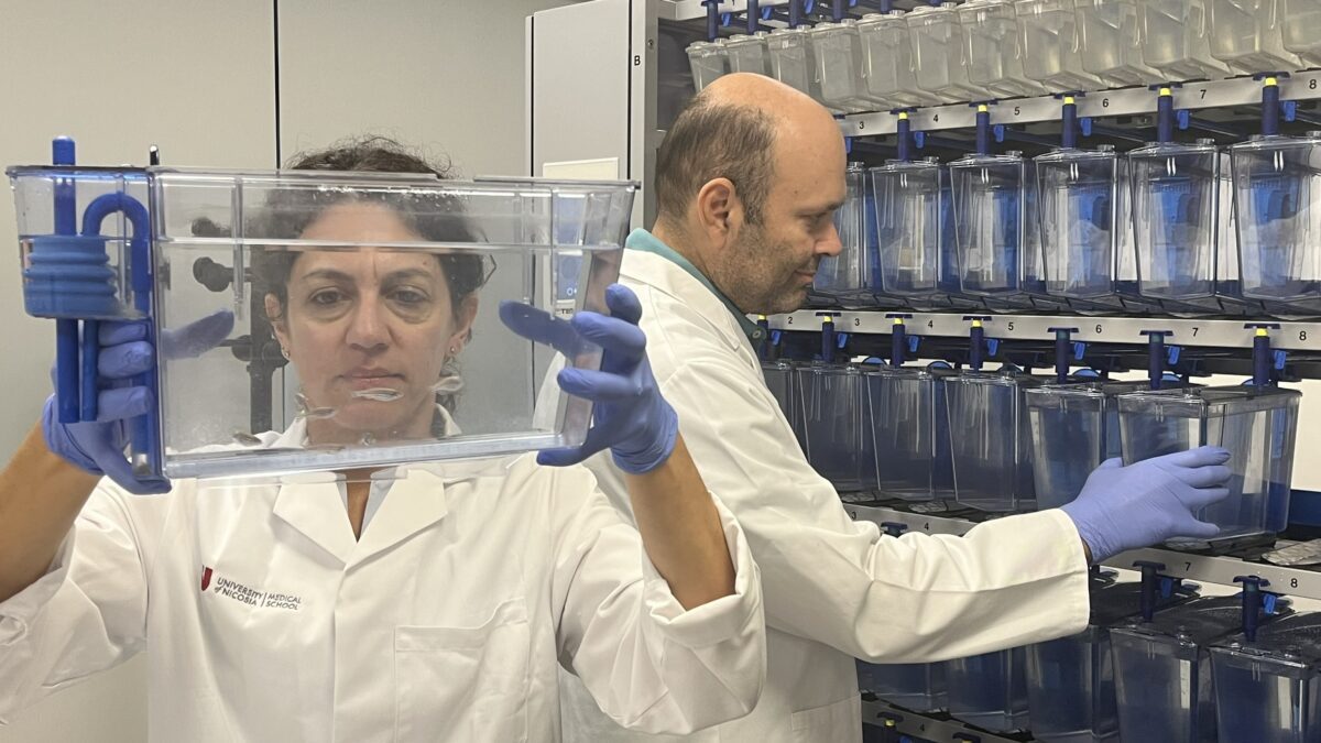 Zebrafish research facility launched - Medical School - University of ...