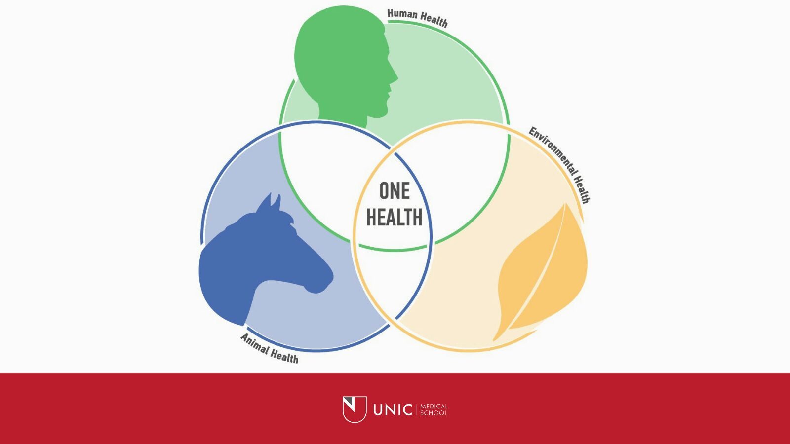 ‘One Health’, Public Health & COVID-19 - Medical School - University of ...