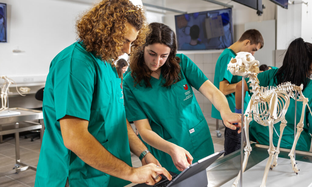 Anatomy Lab – UNIC | School of Veterinary Medicine