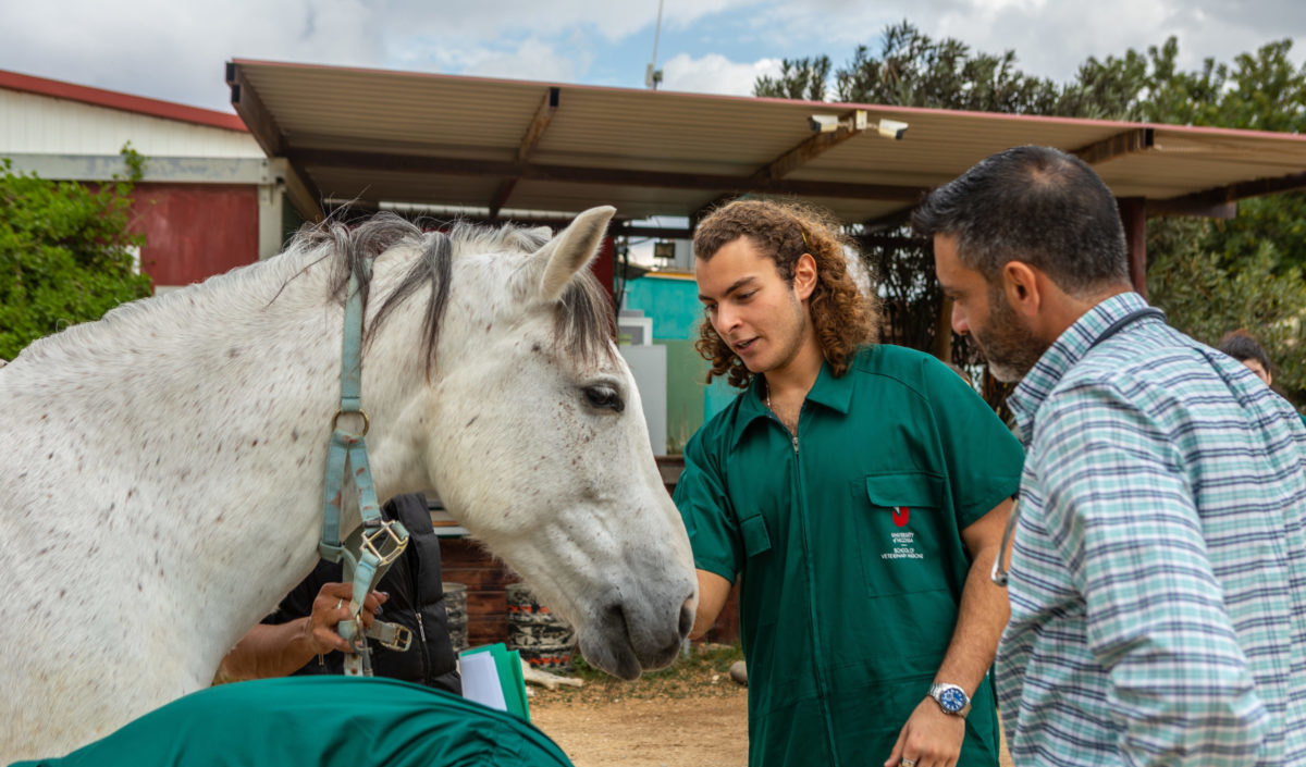 First outdoor practical session for veterinary students – UNIC | School ...