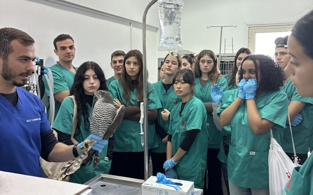 UNIC | School of Veterinary Medicine