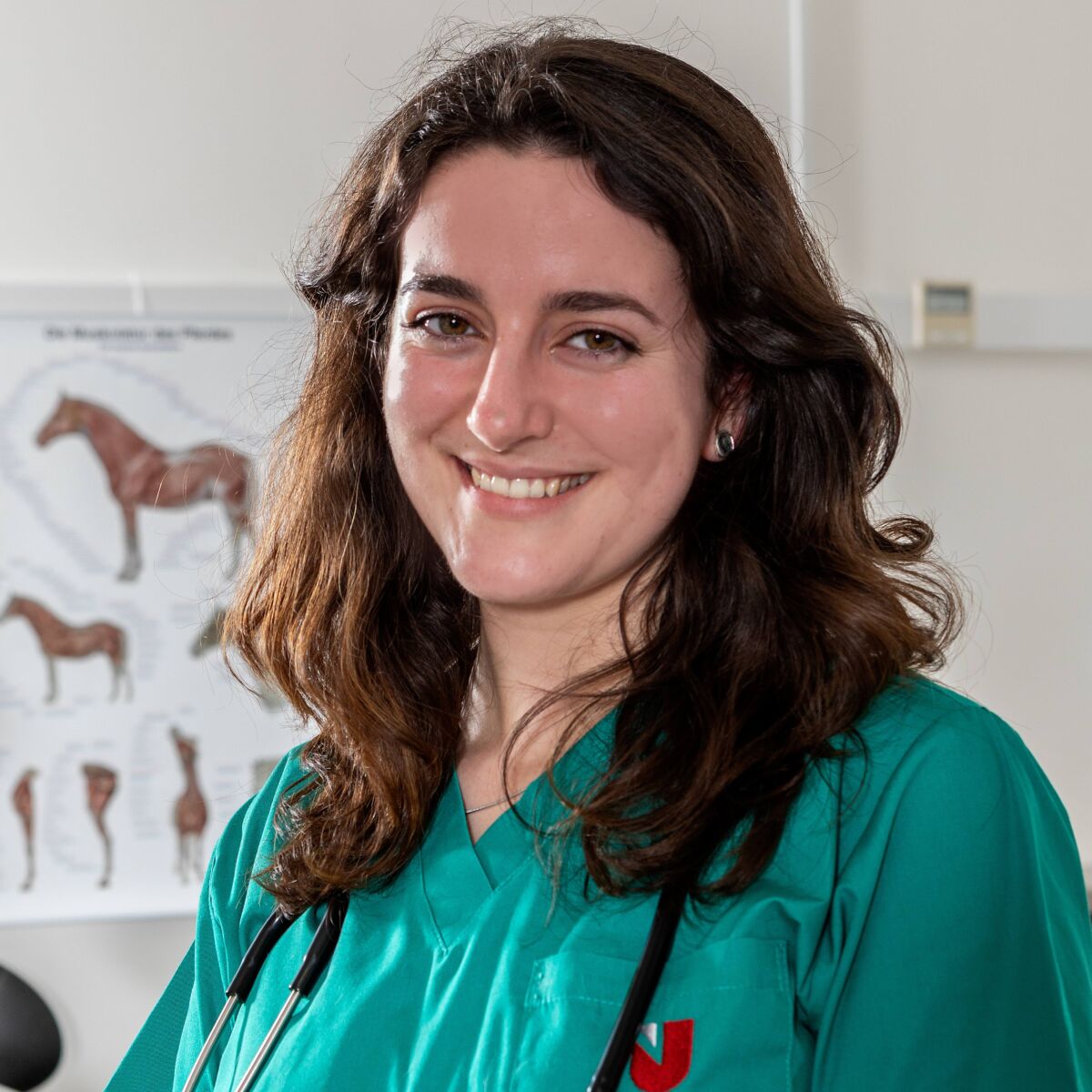 What Our Students Say – UNIC | School of Veterinary Medicine