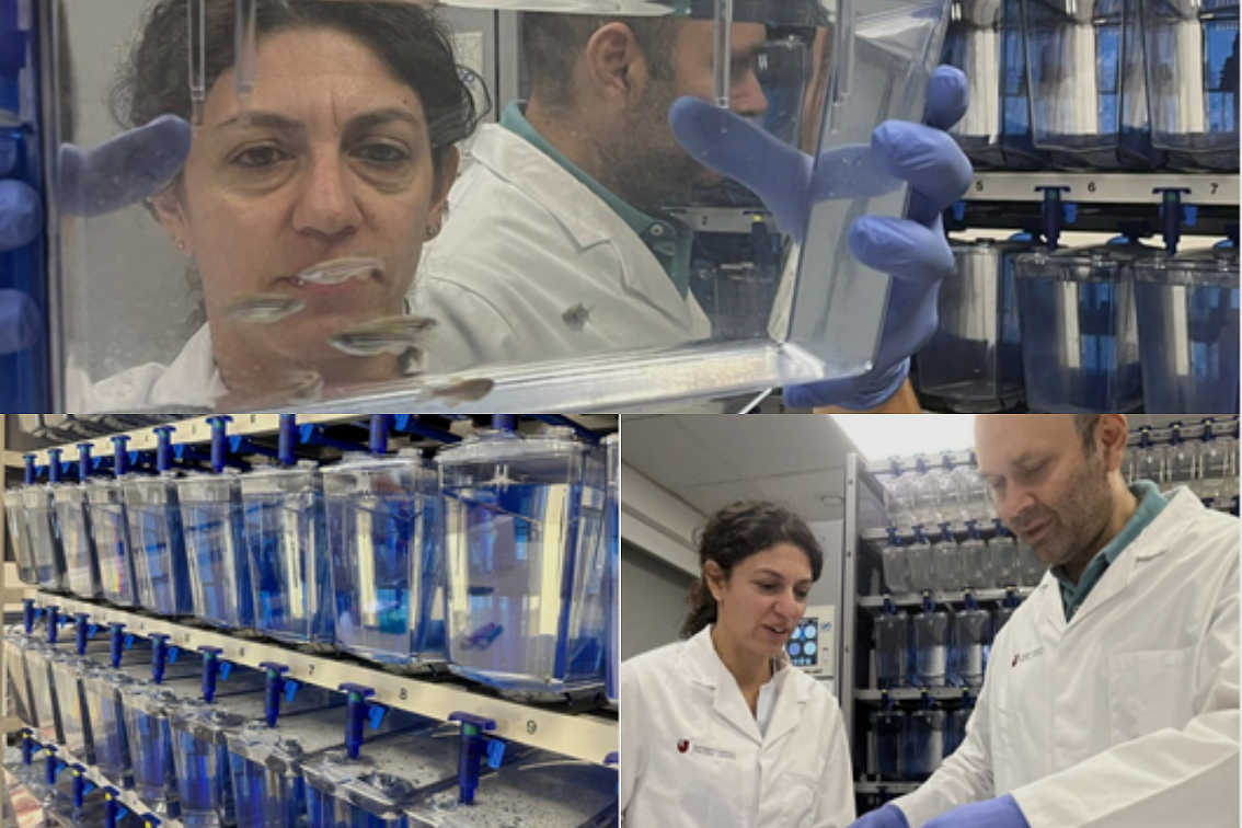 New Zebrafish Laboratory at University of Nicosia opens doors to ...