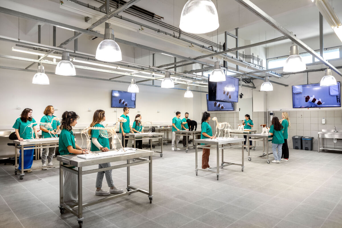 Lab Infrastructure – University of Nicosia