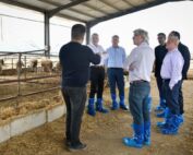 University of Nicosia – The largest university in Cyprus