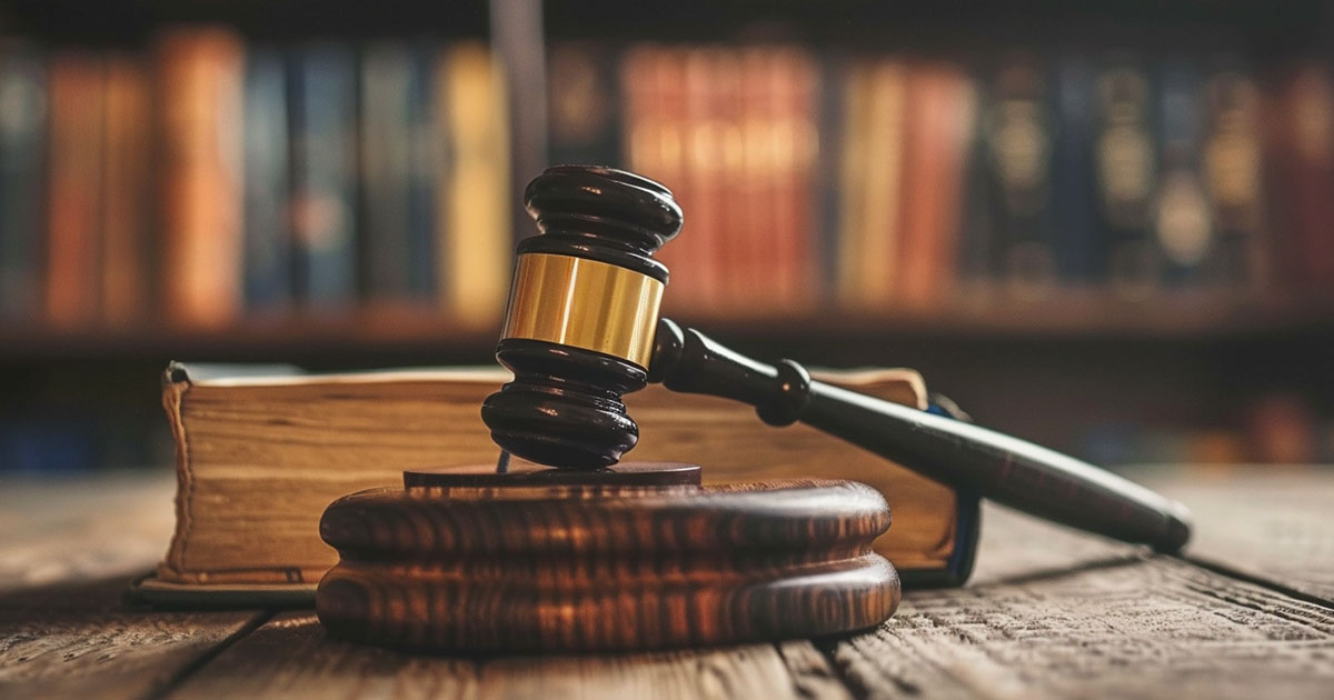 Activities of the School of Law Faculty | January – February 2024 ...